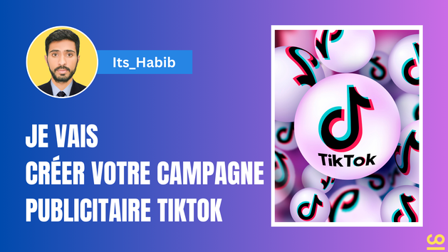 Je vais créer votre campagne publicitaire TikTok par Its_Habib