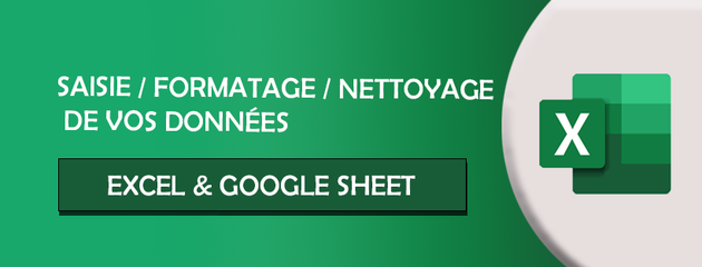 Je vais saisir vos données Excel et Google Sheets par Yan_Crl