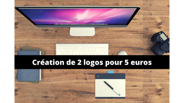 Je vais réaliser 2 logos professionnels et originaux pour votre société ...
