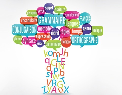 Je vais relire et corriger tous vos documents : orthographe, grammaire ...
