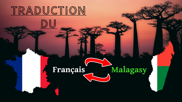 Je vais traduire vos documents du Français vers le Malgache par Mamisoa ...