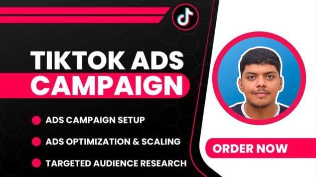 I will setup tik tok ads campaign, tik tok ads, tiktok advertising by ...