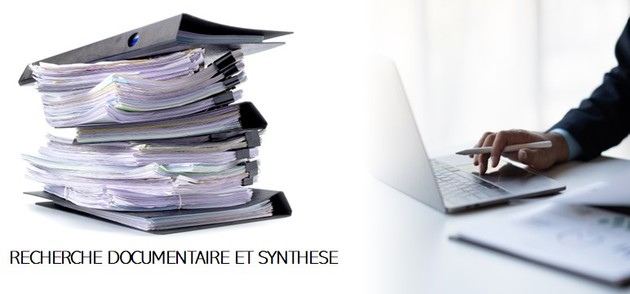 Je vais réaliser vos recherches documentaires et synthétiser les ...