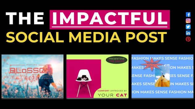 I will design impactful, tailor-made social media posts for Instagram ...