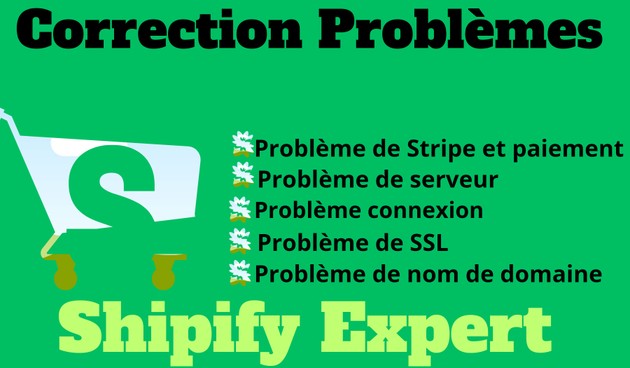 Je vais corriger de bugs et problèmes shopify par Samluck