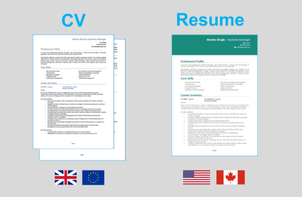I will write best CV and resume in French by Bechir94