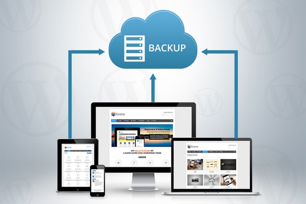 Je vais vous aider à choisir votre système de Backup pour vos données sensibles. par kiko_fr93