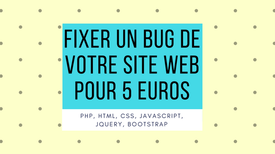 Je vais fixer un bug ou erreur dans votre site web par Djerson7