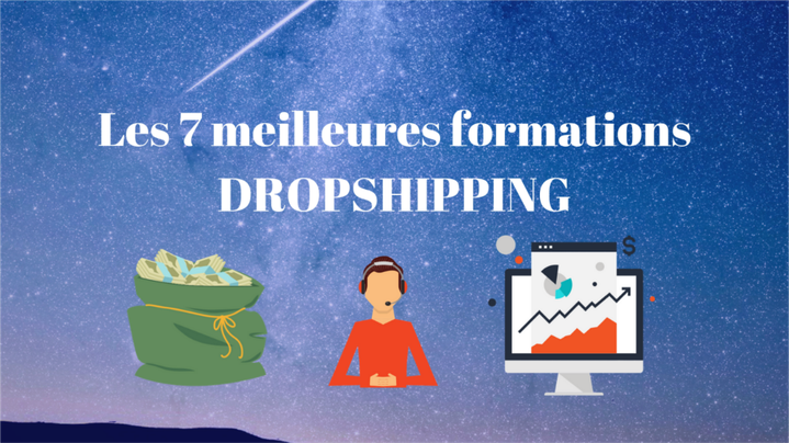 Je vais vous donner la liste des 7 formations les plus rentables en dropshipping par Freezbeasy