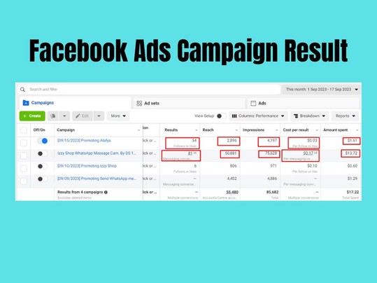 I will manage Facebook and Instagram ads campaigns, FB advertising, FB ...