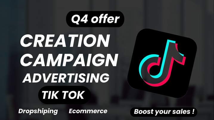 I will create a Tik Tok Ads campaign by Casimir__Digi