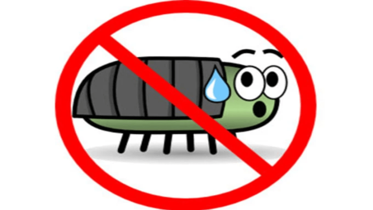 Je vais vous aider avec vos bugs JavaScript et jQuery, et vos problèmes de site web par Web_Dev ...