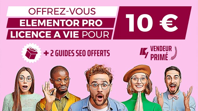 Je vais installer la version officielle de l'extension Elementor Pro ...
