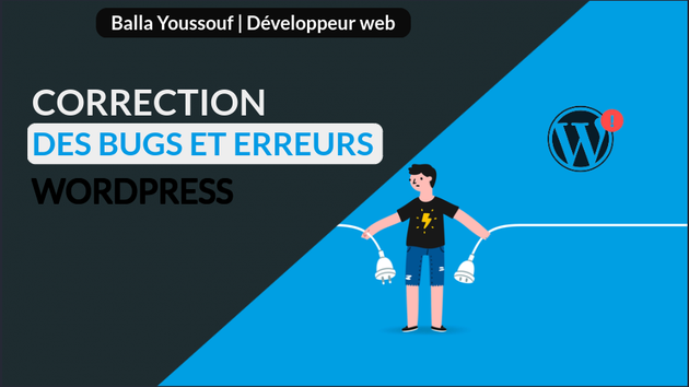 Je vais corriger vos erreurs et bugs sur votre site WordPress par ballayoussouf